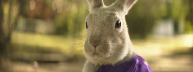 Fin Design’s Easter Bunny for Cadbury’s – Peregrine Labs